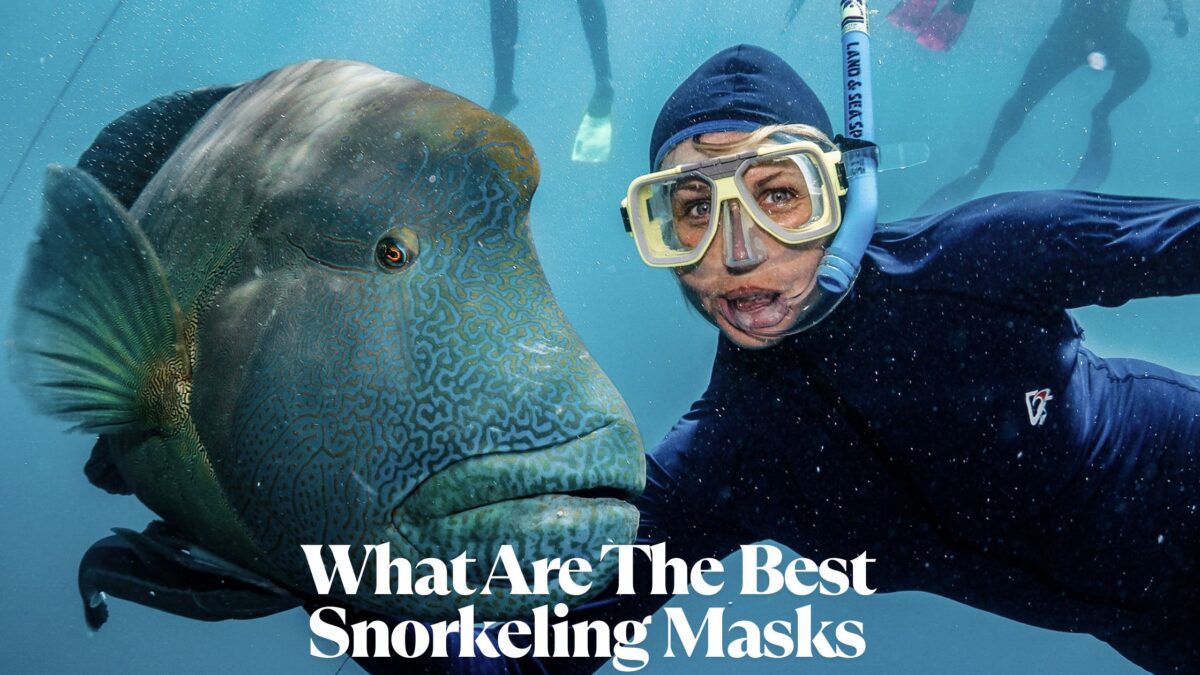 What Are The Best Snorkeling Masks - 10 of The Best - Water Comfort