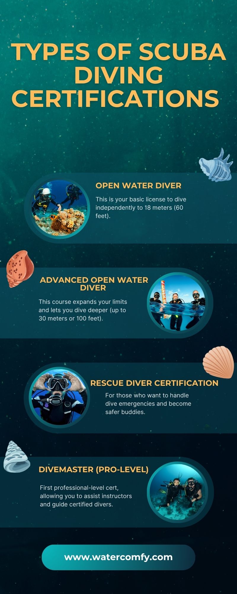 How Much Scuba Diving Certification - The Real Cost - Water Comfort