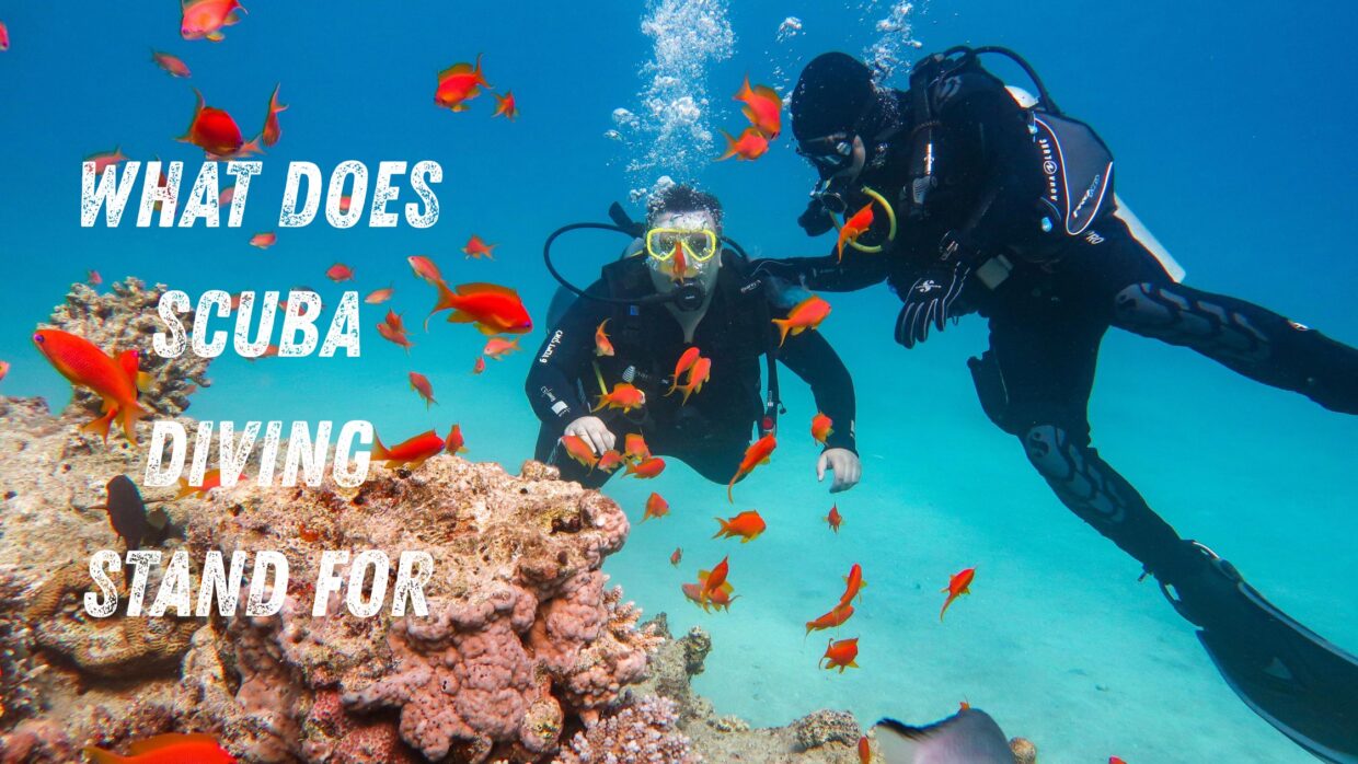 What Does Scuba Diving Stand For - Water Comfort