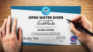 How To Get Scuba Diving Certification Step-by-Step - Water Comfort